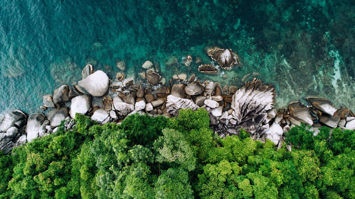 Layanan di Bandara Tioman (TOD)